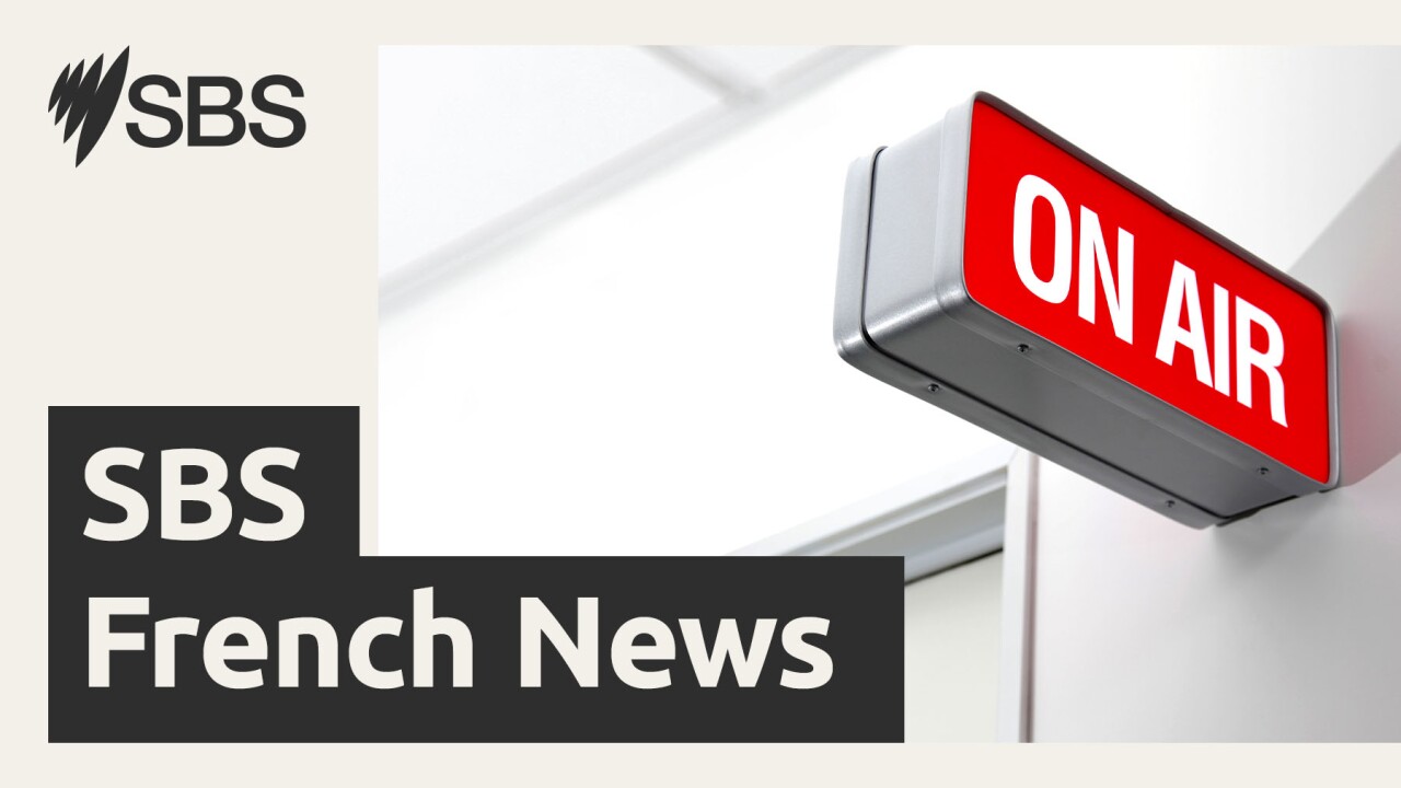 SBS French News Podcast - Le journal du 25/11/2025 : sénatrice en burqa ...